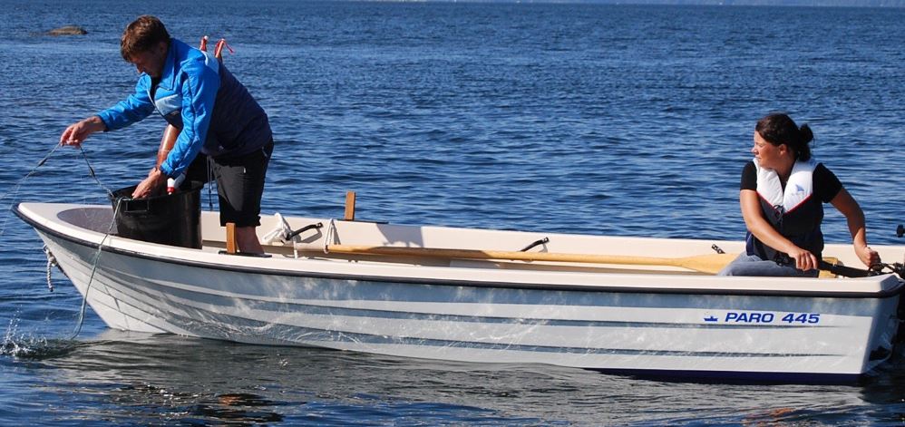 Paro 445 moottorivene ilman pulpettia - Venepori.fi verkkokauppa